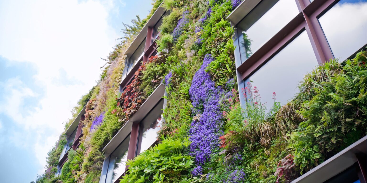 Gevelafwerking: compleet overzicht [+ Kosten]